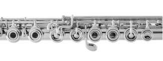 Step Up Flute – Band Director Media Group