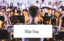 Tips For Teaching Beginning Flute Players – Band Director Media Group